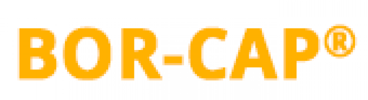 BOR-CAP - CLP System AB